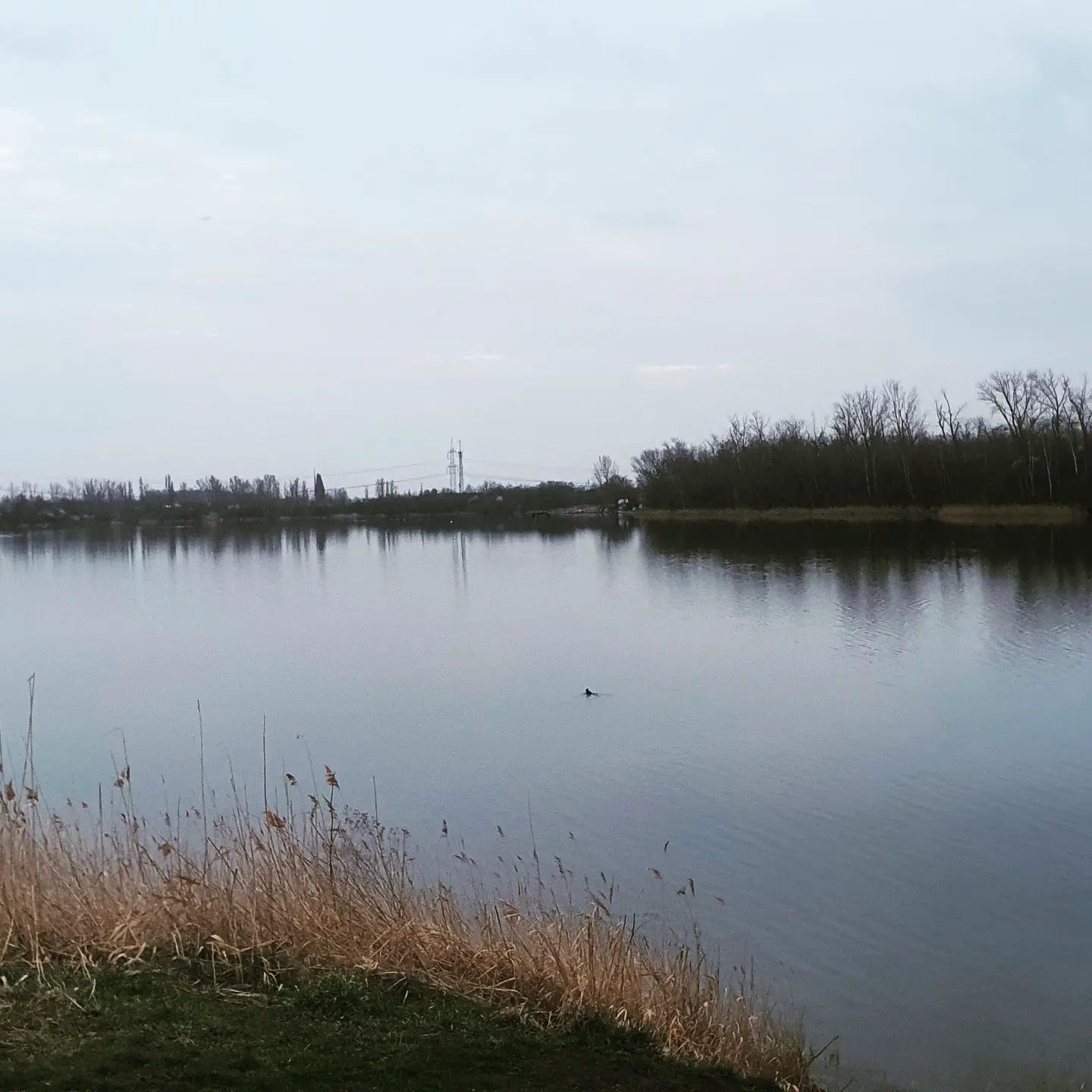 Klarstellung und alles Gute für das neue Jahr 2020 › Hufeisensee Halle ...